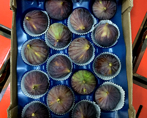 Fresh Figs,Hong Kong Bilvigo price supplier - 21food